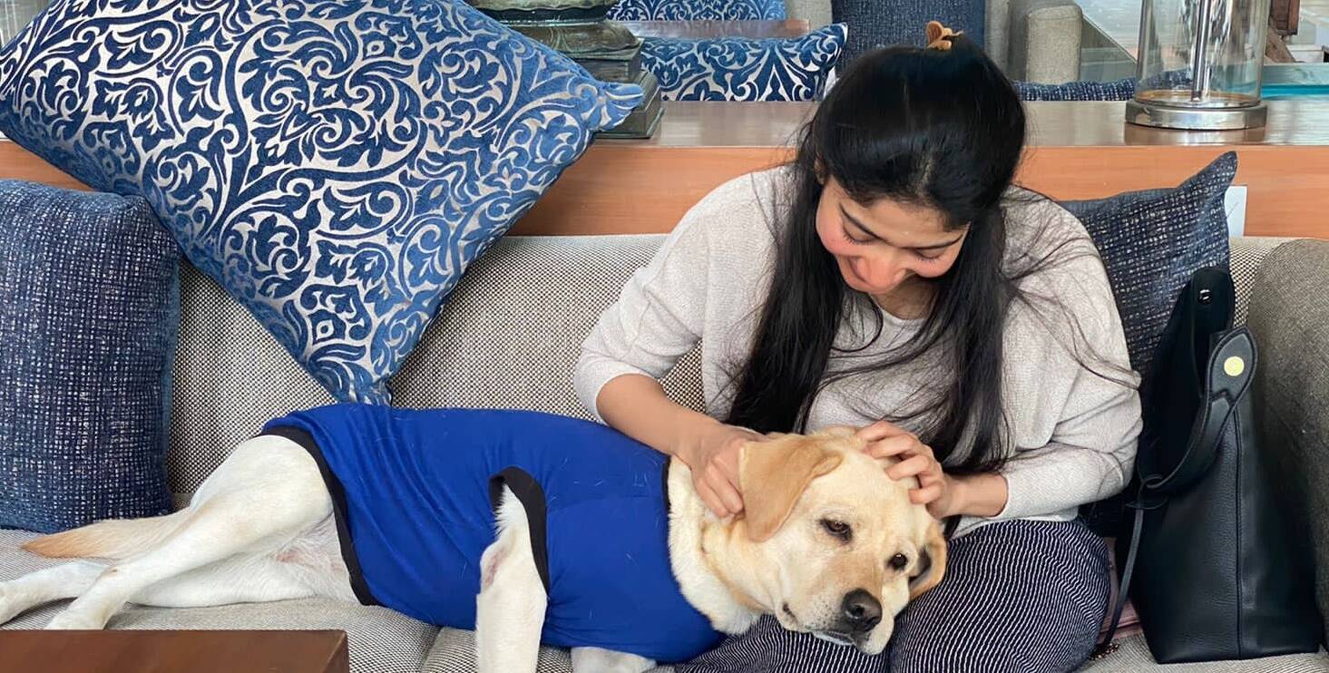actress sai pallavi with pet dog viral pictures